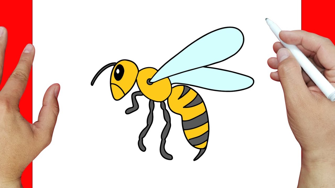 How to draw a wasp - YouTube