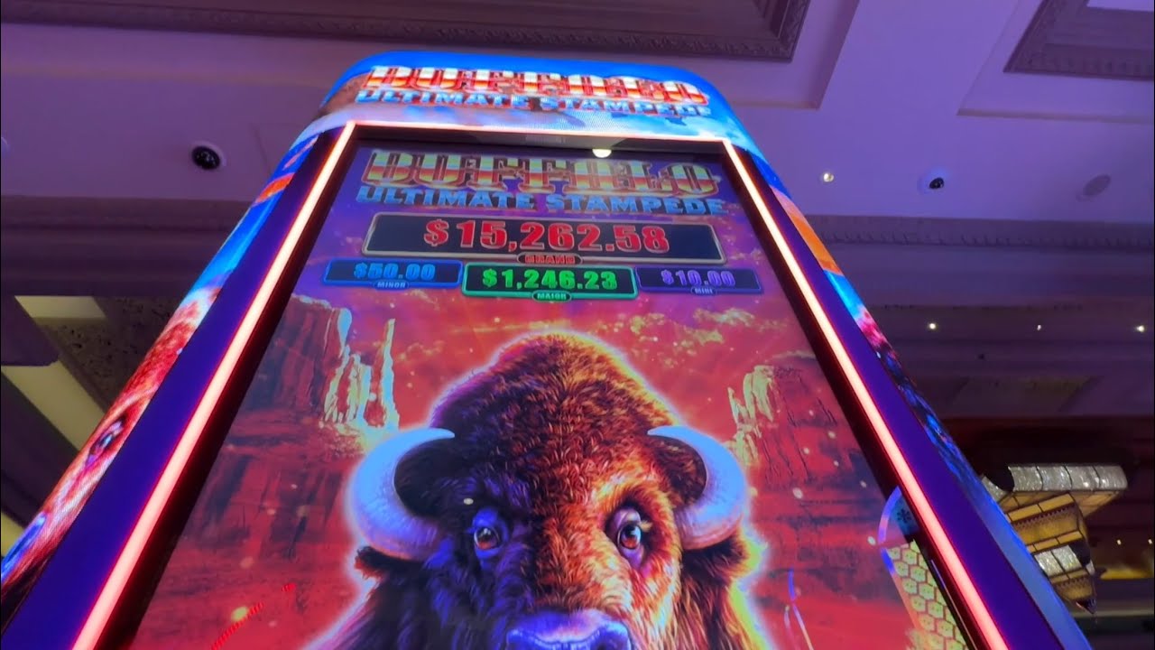 The Duck Plays Buffalo Ultimate Stampede at Mandalay Bay - YouTube