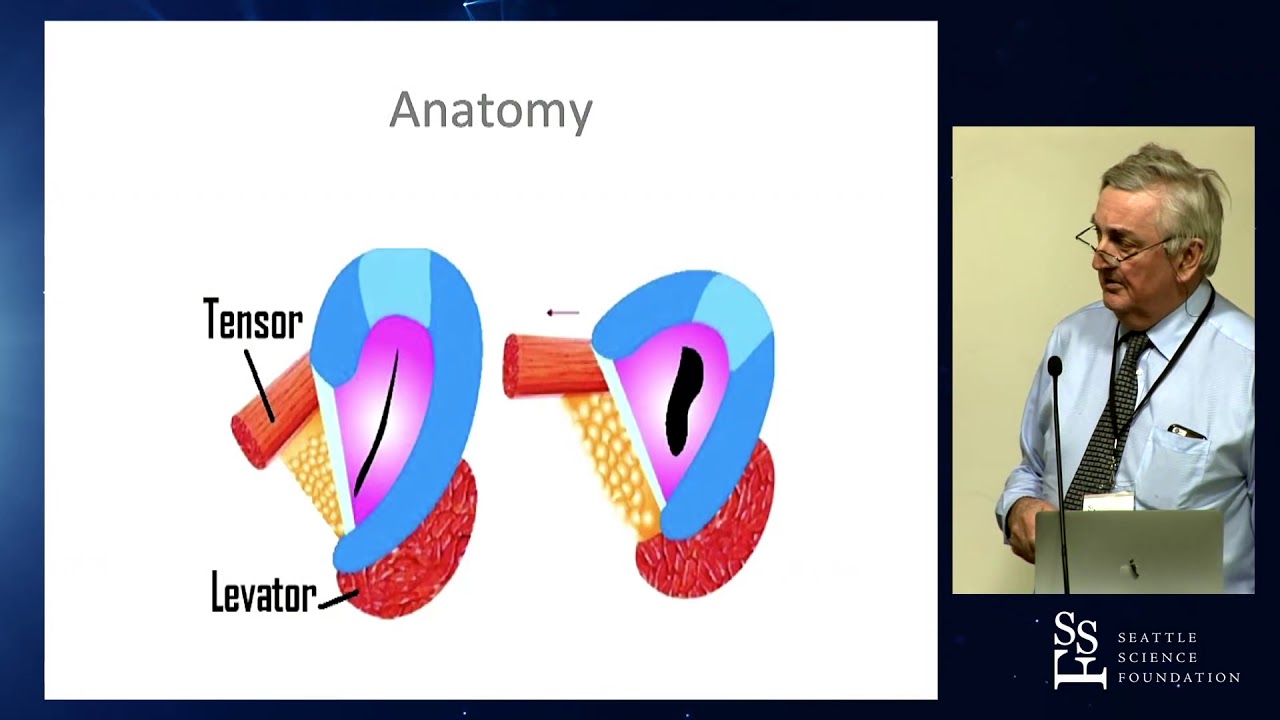 Balloon Eustachian Tuboplasty in Treating ET Dysfunction - Prof ...