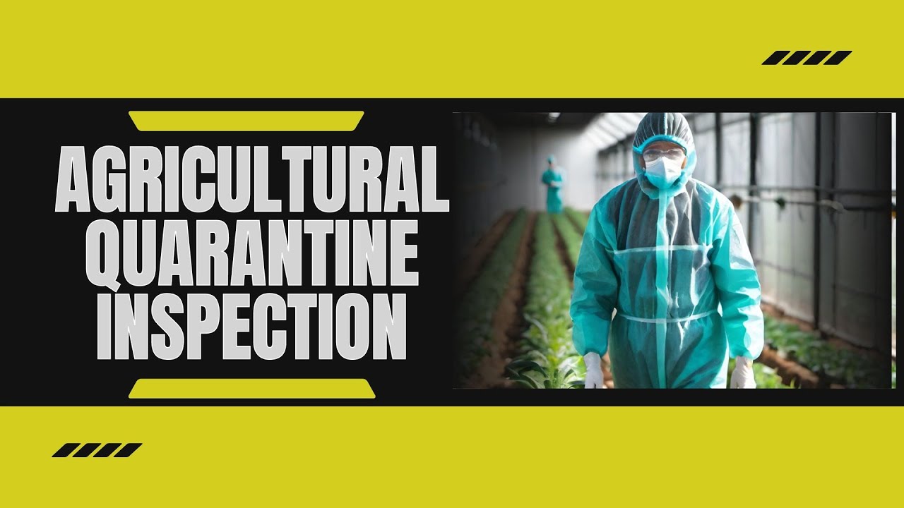 Exploring the Significance of Agricultural Quarantine Inspection (AQI ...