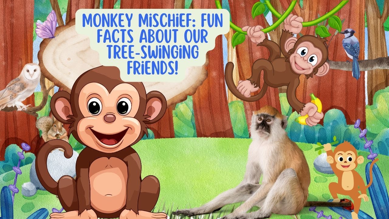 Monkey Mischief Fun Facts About Our Tree Swinging Friends! Interesting ...