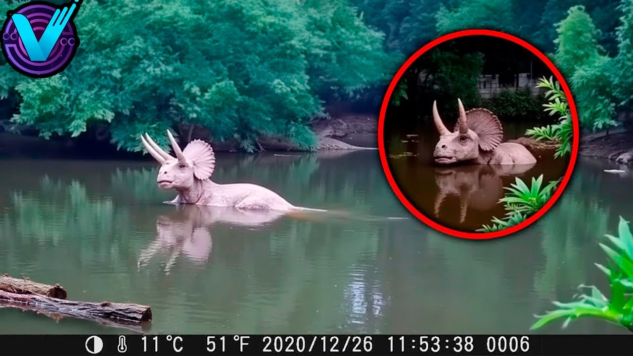 12 'Extinct' Animals That Were Caught on Camera Alive! 😱📸 (Part 2 ...