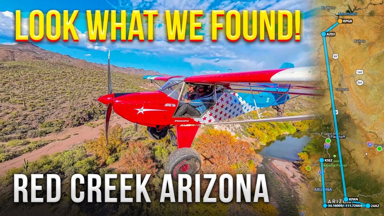 Freedom Fox's Epic Journey Home (Day 3) - YouTube