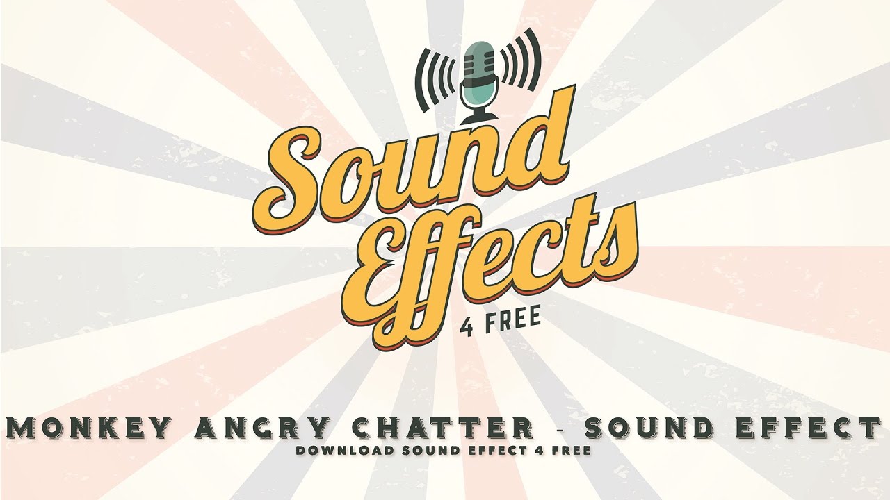 Monkey Angry Chatter - Sound Effect - YouTube