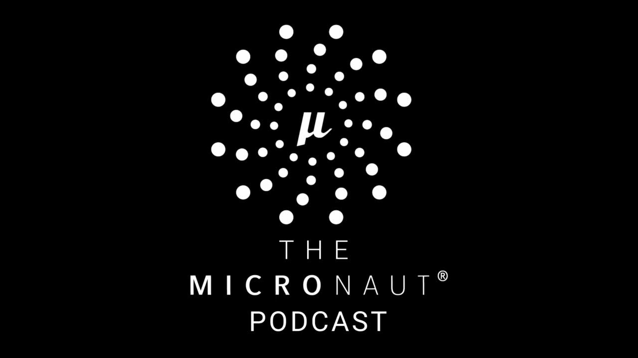 012 - Micronaut Podcast - Szymon Stepniak intervies Graeme Rocher - YouTube