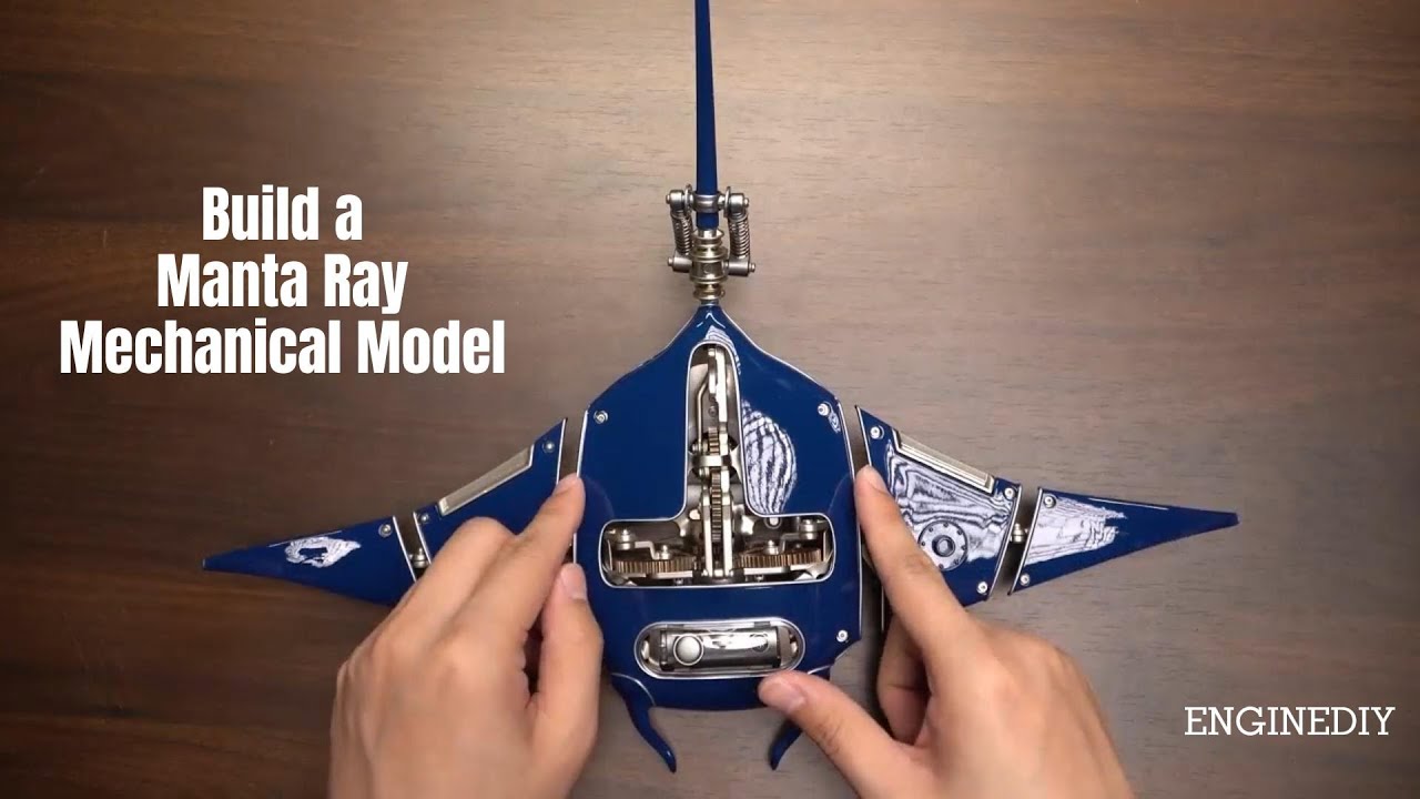 Unboxing and Building a Manta Ray Mechanical Model - EngineDIY - YouTube