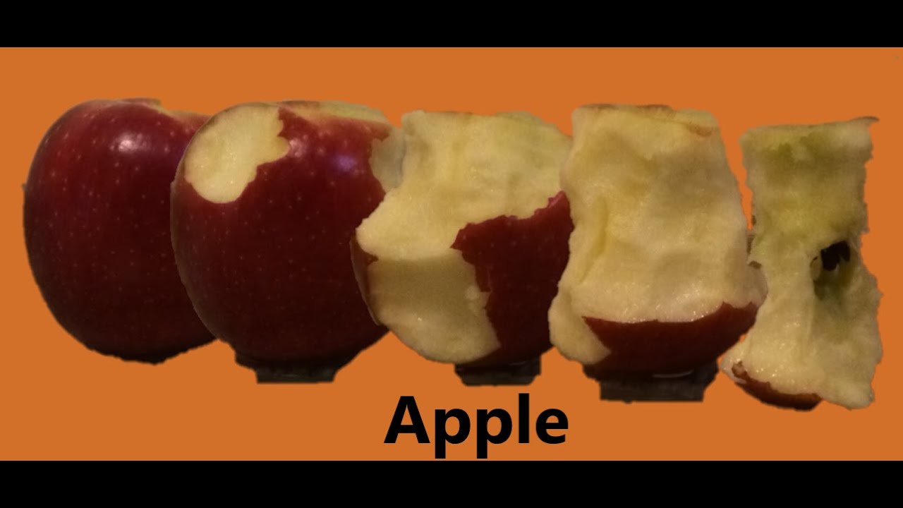 The Apple (Stop Motion Animation) - YouTube