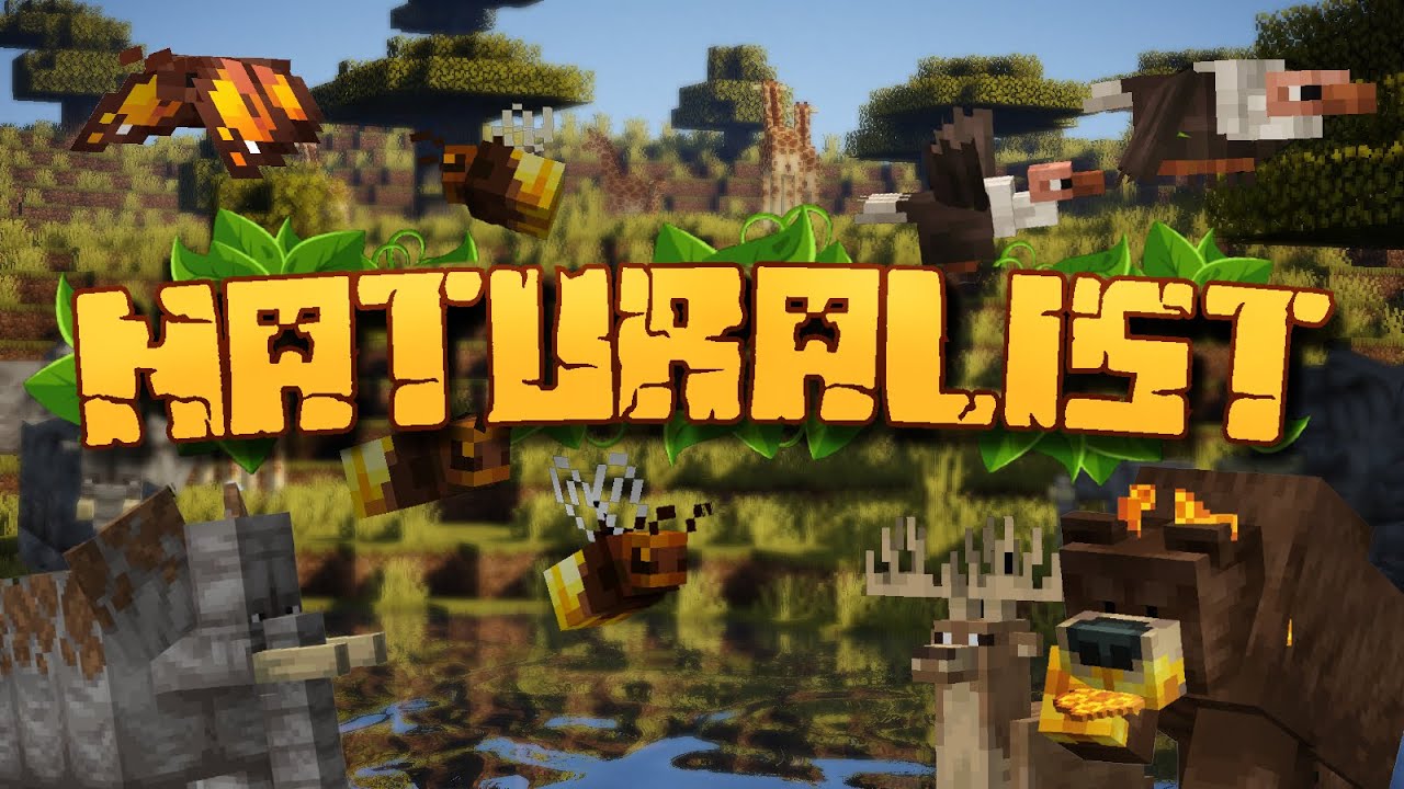 Naturalist - Mod Review en Español [ Forge/Fabric ] - YouTube