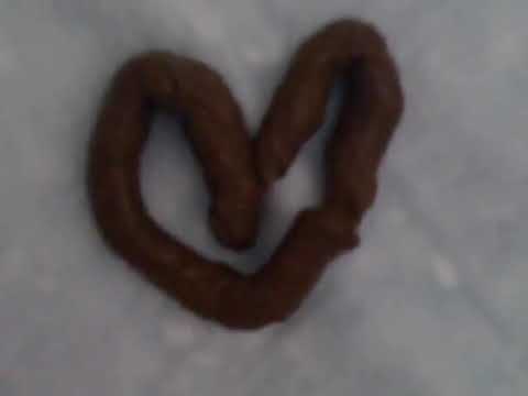 Heart shape poop. - YouTube