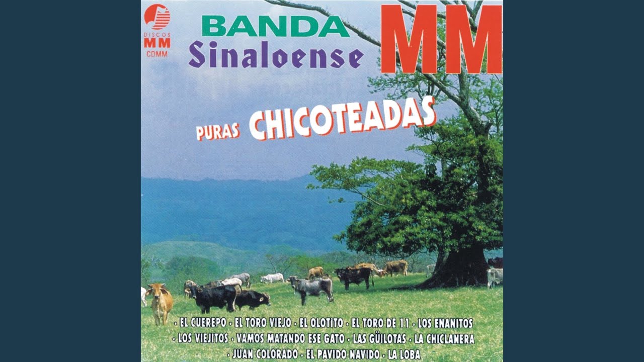 Las Güilotas - YouTube