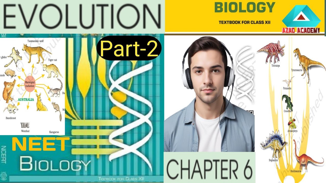 Quick Reading: Evolution NEET NCERT Biology Class XII Ch 6 NCERT Part 2 ...