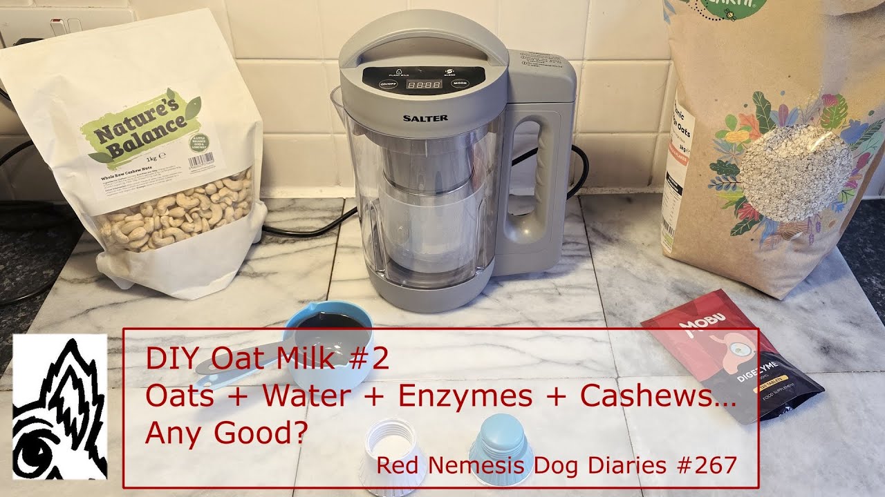 DIY Oat Milk #2: Oats + Water + Enzymes + Cashews + Salter. Any Good ...