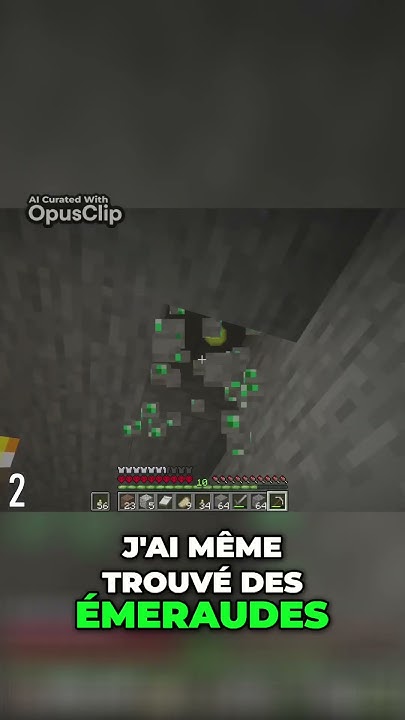 Survivre 100 Jours En Hardcore Sur Minecraft 🪵 Source Lantredumaître