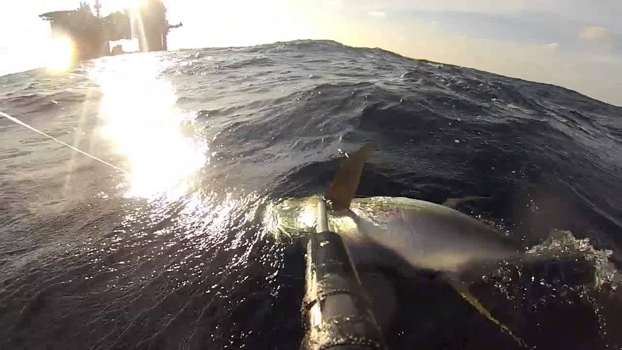 Vengeance Tuna Gaff Shot - YouTube