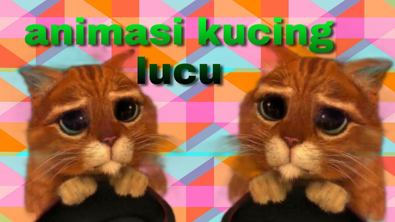 Film animasi kucing paling lucu - YouTube