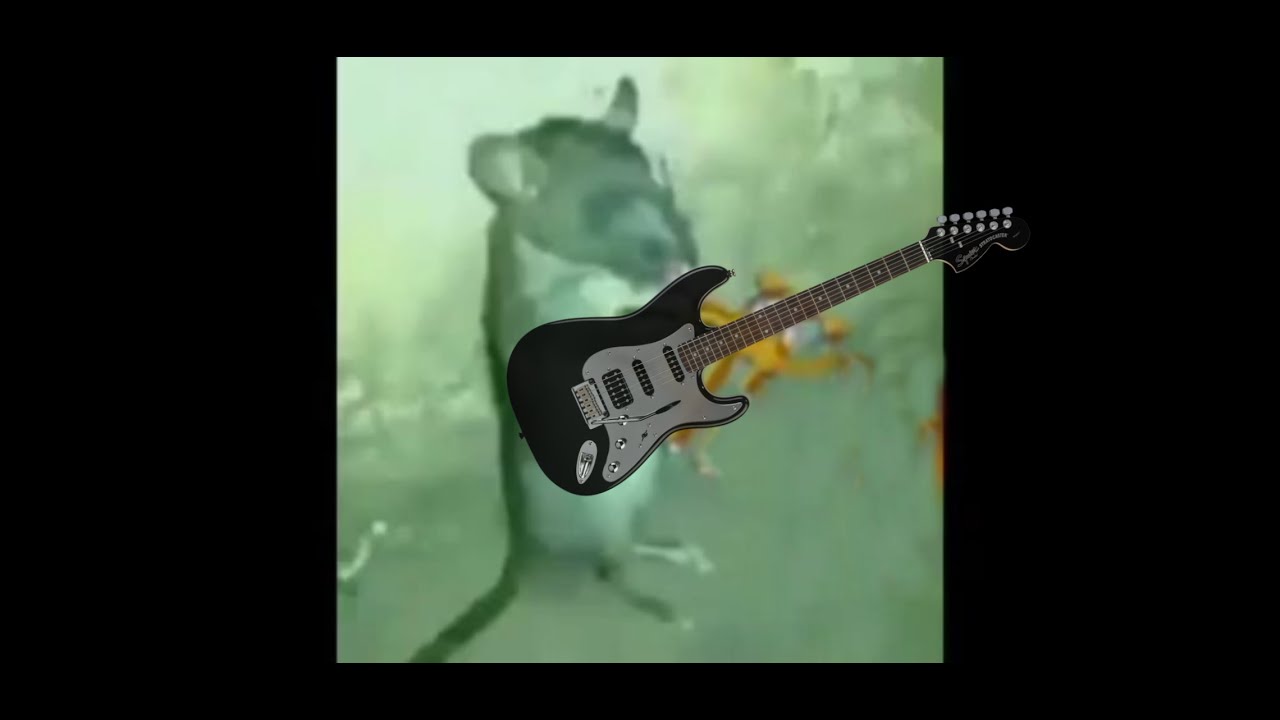 Rat trumpet meme guitar version - YouTube