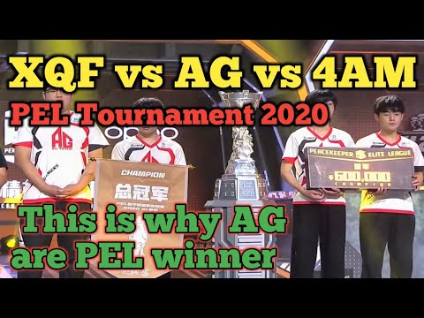 XQF vs AG vs 4AM vs LGD 4 v 4 Fights in PEL Tournament 2020 - YouTube