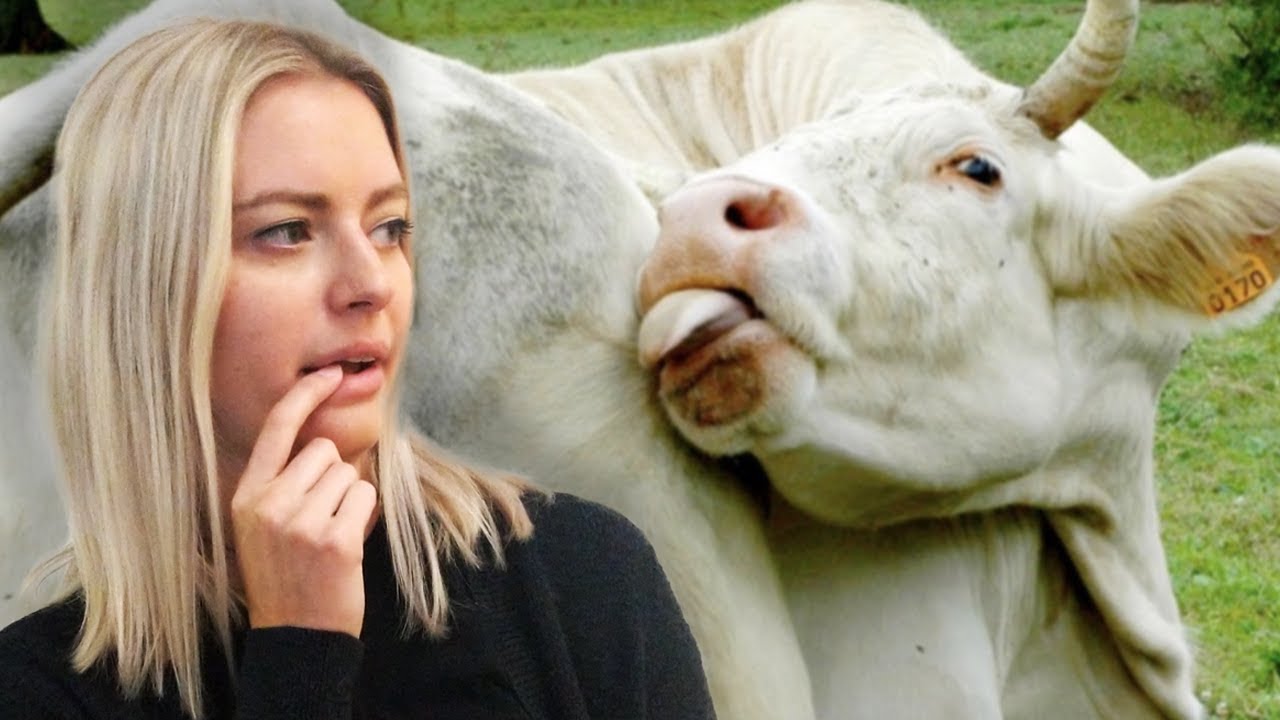 He Did WHAT to a COW? - Dude Soup Podcast #197 - YouTube