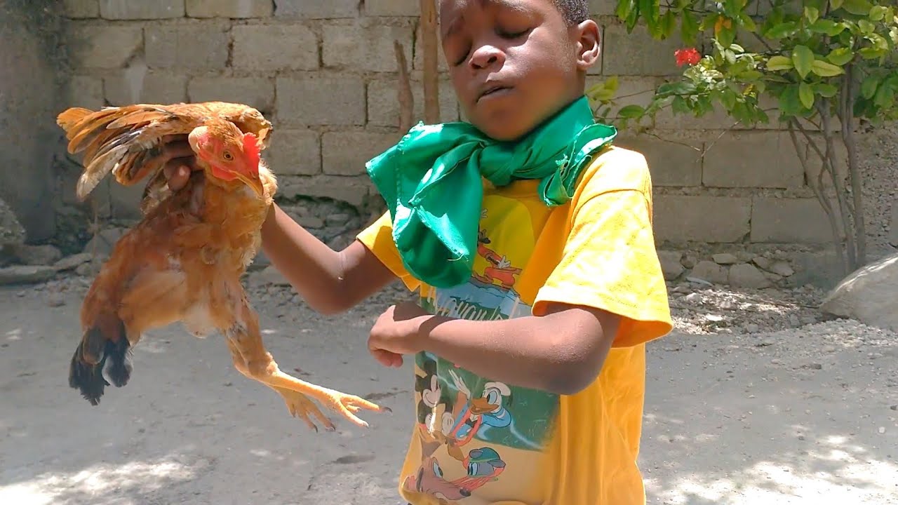 THE MAGIC CHICKEN - YouTube