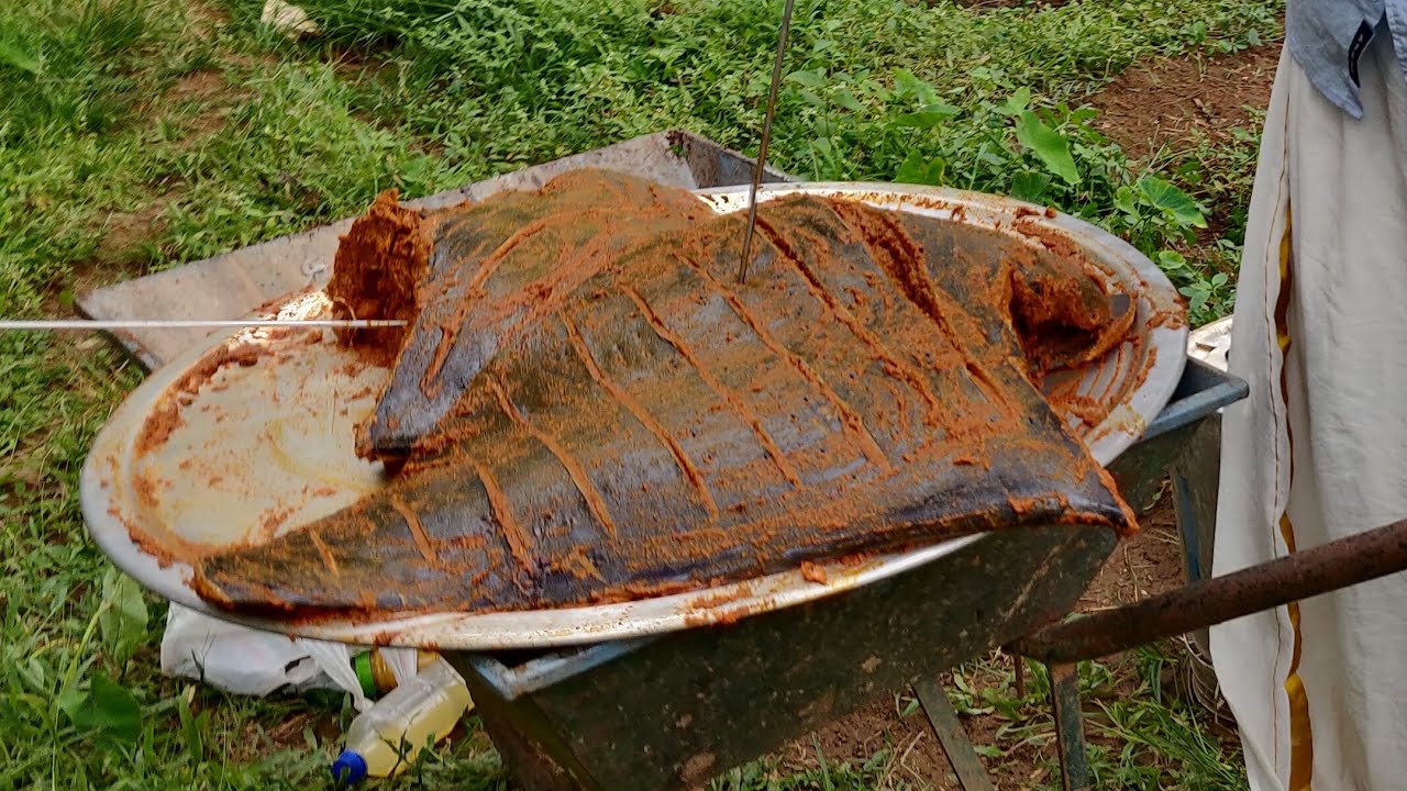 60 Kg Massive Manta Ray Fish Fry | #mantaray #shorts #short # ...