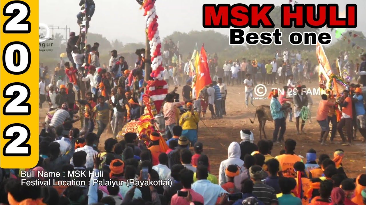 MSK Huli in Palaiyur Festival 2022 @TN29Family Rayakottai jallikattu ...