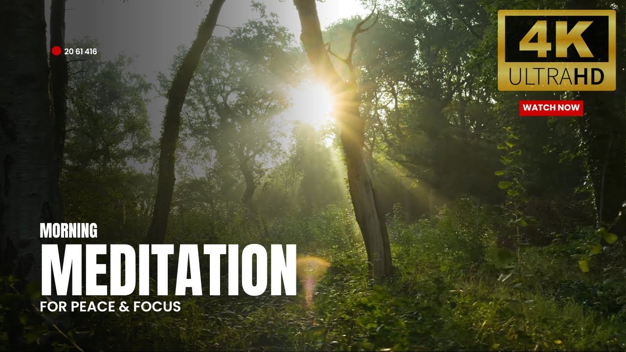 Morning Meditation: Soothing Sunrise Nature Sounds for Relaxation ...