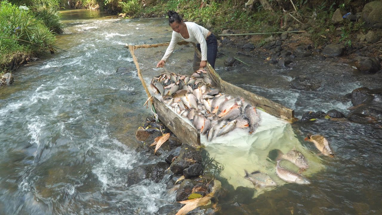 Simple Technique to Make Fish Trap From Wood and Plastic Net. The ...