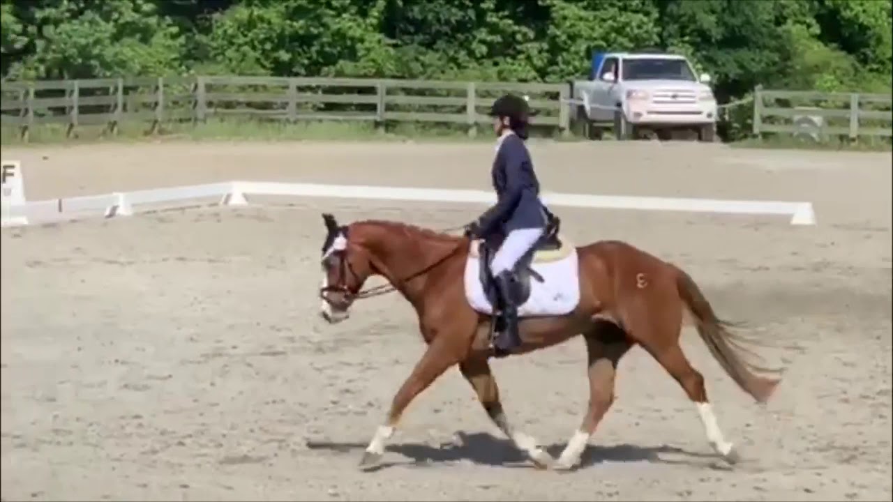 Training Level Dressage Test A Chatt Hills - YouTube