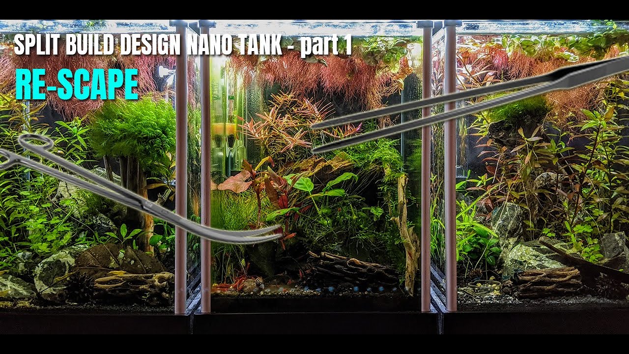 Aquascape Tutorial Nano Tank Fluval time-lapse - part 1 - YouTube