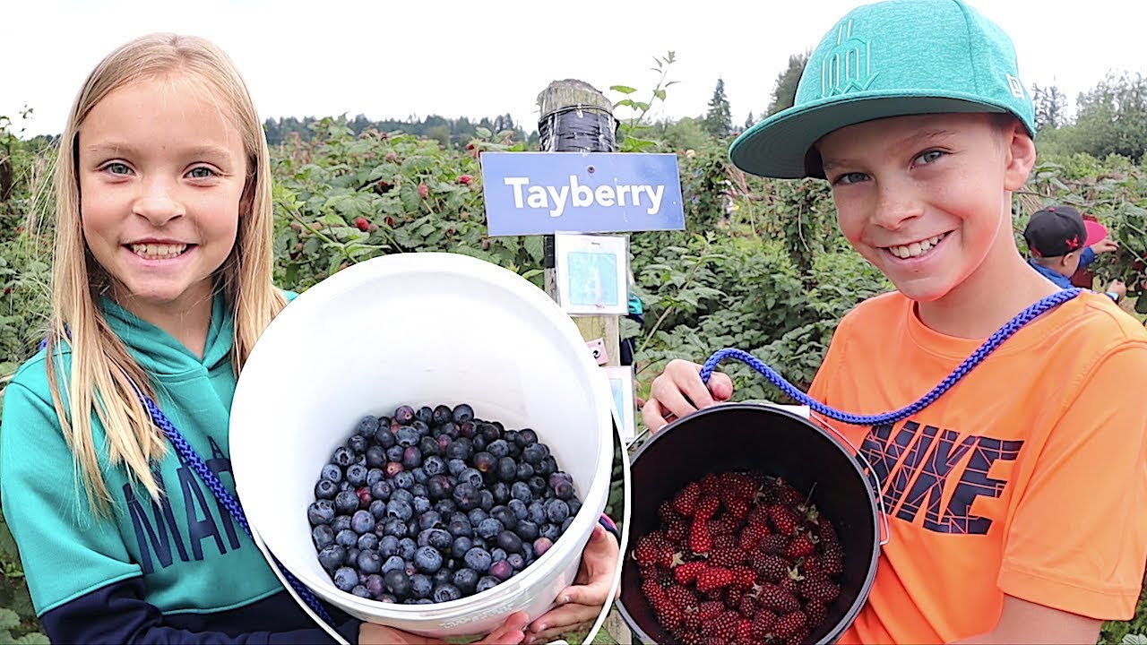 🍓WHO EVER PICKS THE BIGGEST BERRY WINS!!! 💵 - YouTube