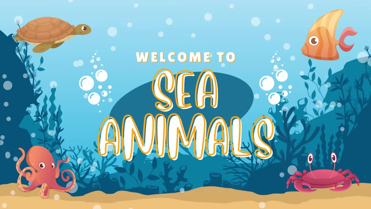 Sea Animals | Unveiling the Wonders of Sea Creatures: Dive into the ...