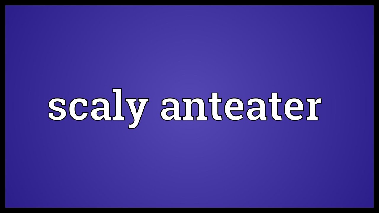 scaly-anteater-meaning-youtube