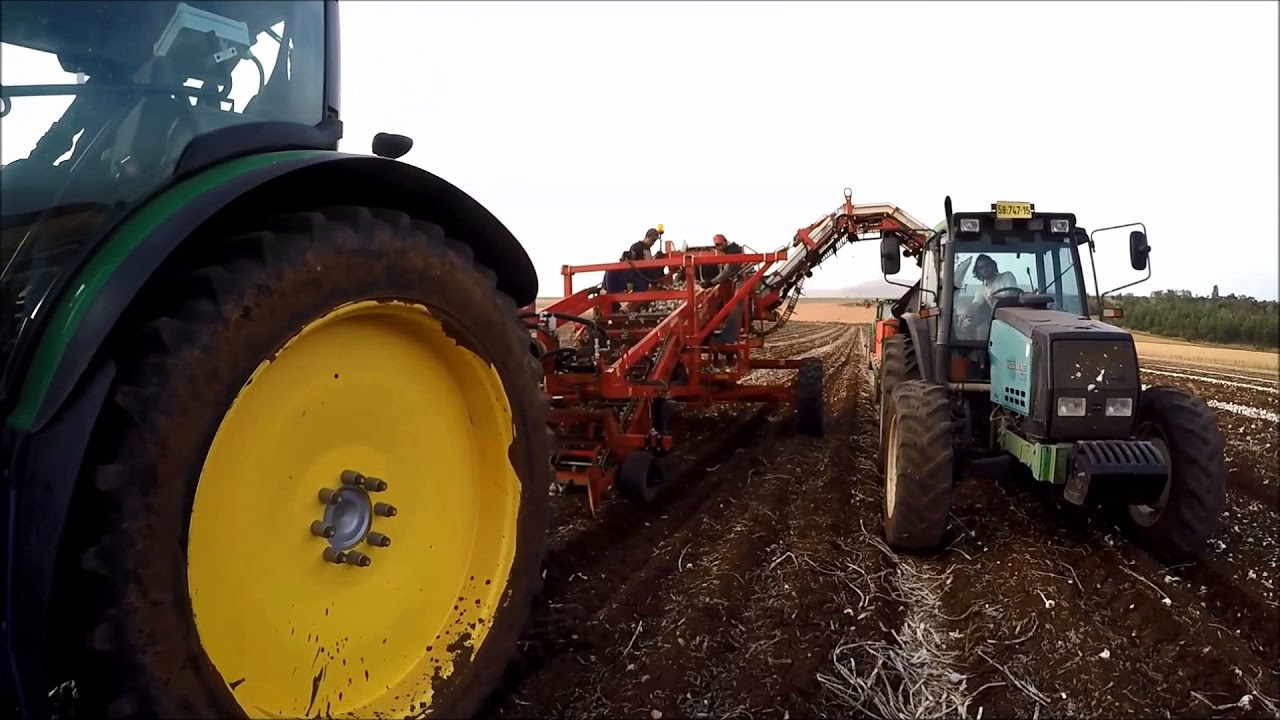 garlic harvester 2018 - YouTube