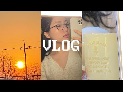 Estou usando óculos 🤓| comprinhas na olive young 🛒| mostrei minha rotina de trabalho ☕️