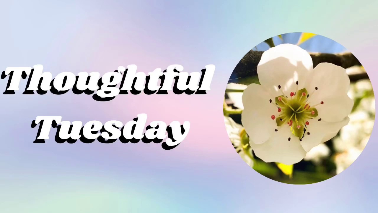 Thoughtful Tuesday Mindfulness Activities: 4/7/2020 - YouTube