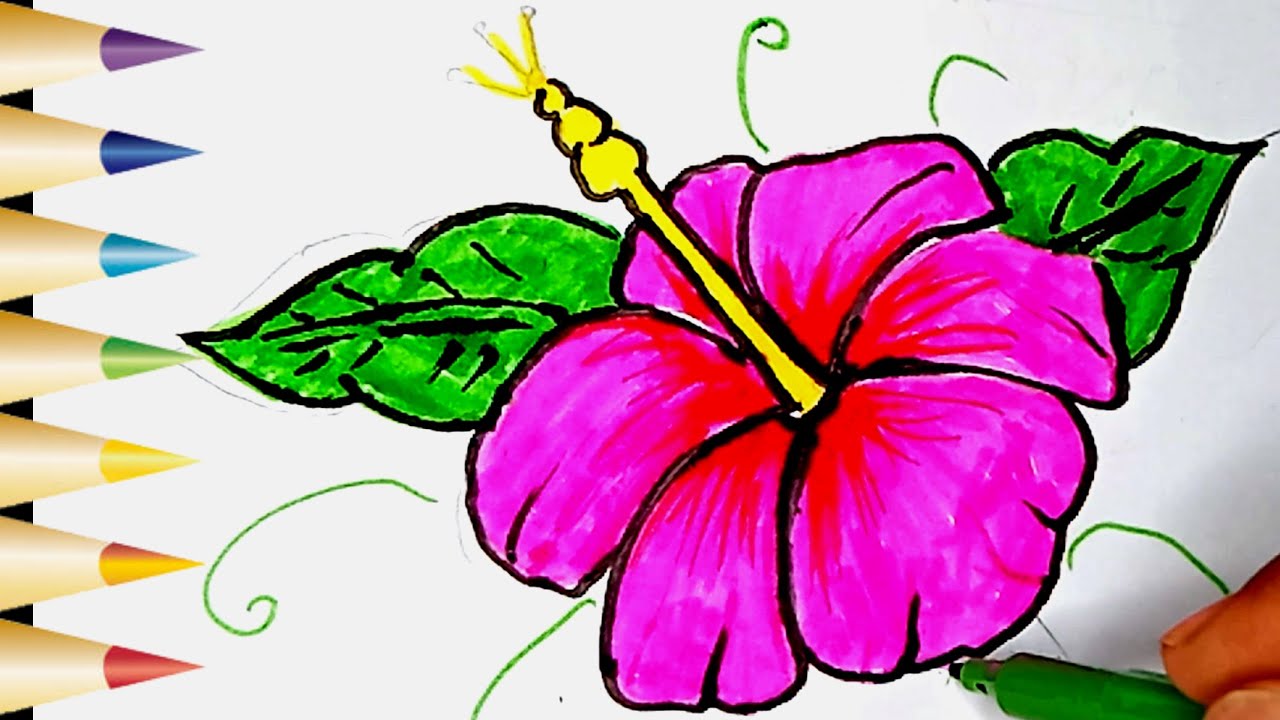 How To Draw A China Rose Easy | Hibiscus Flower Drawing Step By Step ...