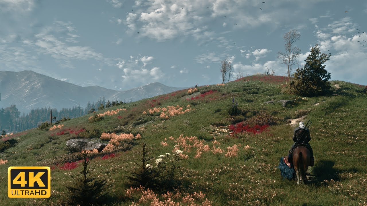 The Witcher 3 Modded Next Gen Graphics Looks Insanely Good | My New ...