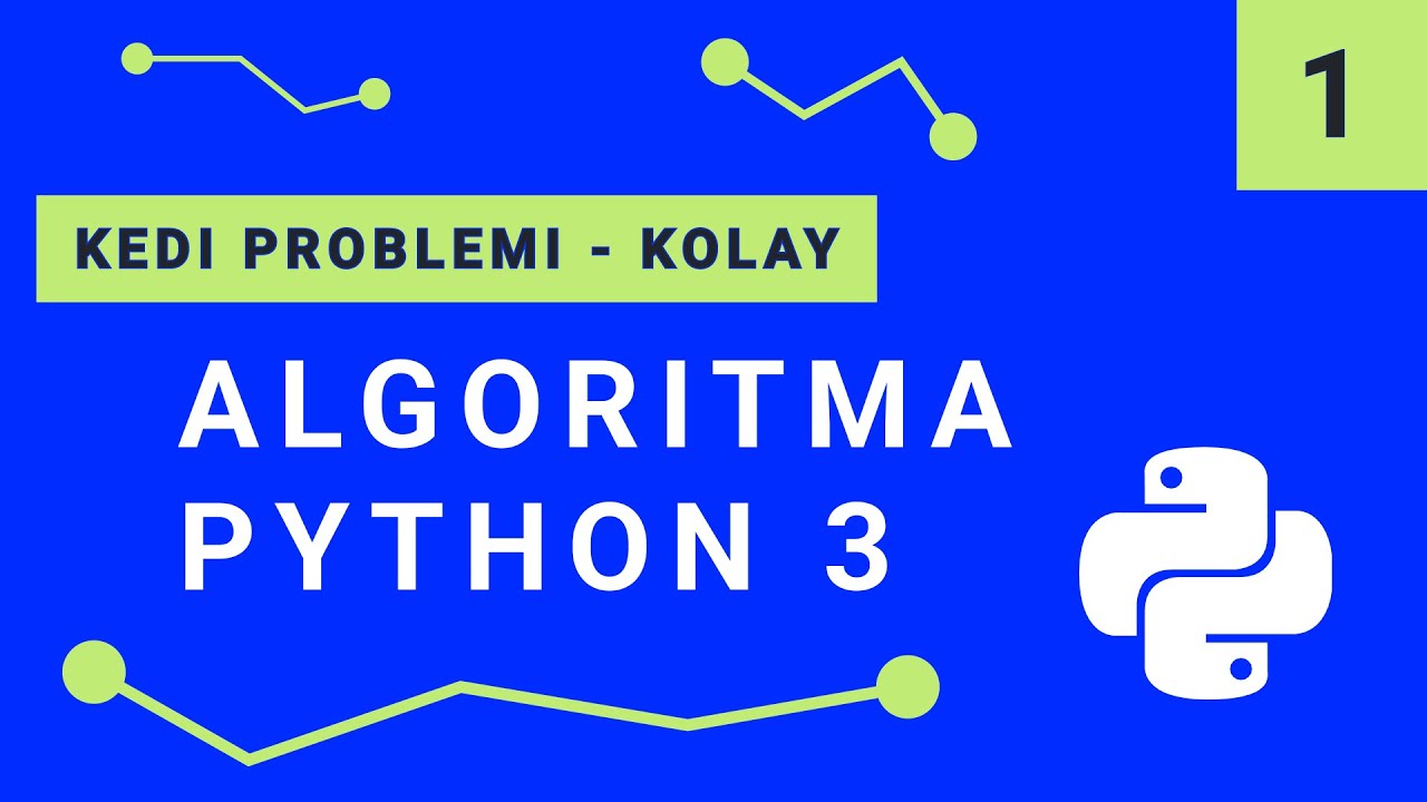 #1 | Python Algoritma Soruları | Kedi Problemi - YouTube
