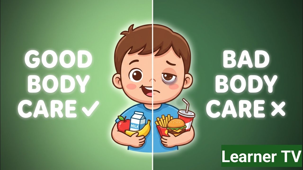 Good Body carevs Bad Body care for Kids | Healthy Habits |Learner TV ...