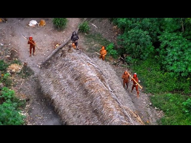 Sentinelese Tribe Arrows