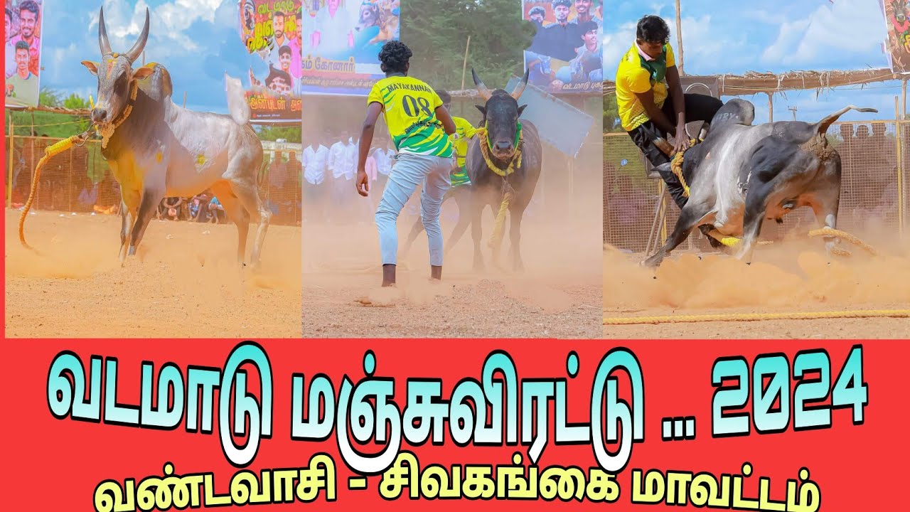 சாமி ஆட்டத்துடன் வீரதமிழச்சி பாண்டியம்மாள் காளை vs அலங்காநல்லூர் KDP ...