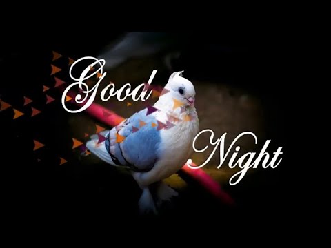 Good Night WhatsApp Status, Messages, Quotes, Images, SMS, Wishes, Video #GoodNight Night Messages