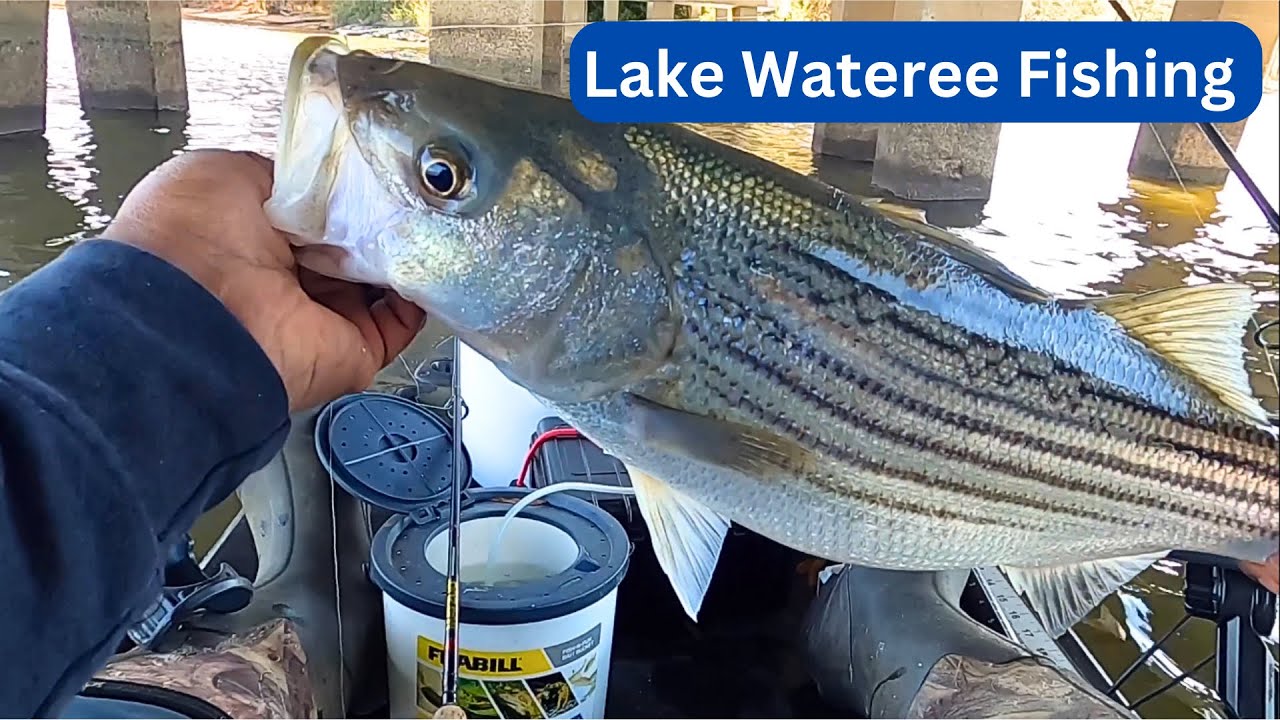 Lake Wateree Fishing - YouTube