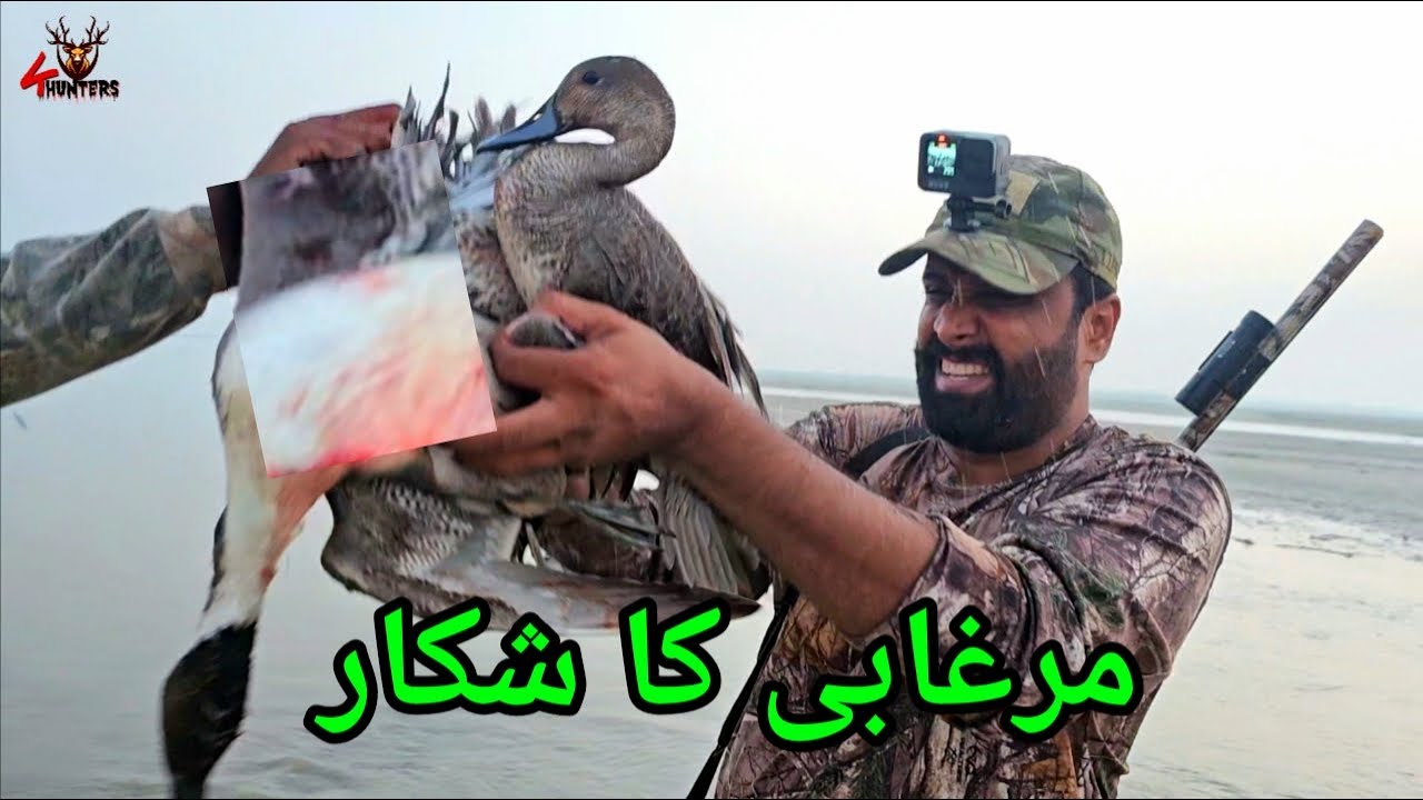 Duck hunting Sindh Pakistan - YouTube
