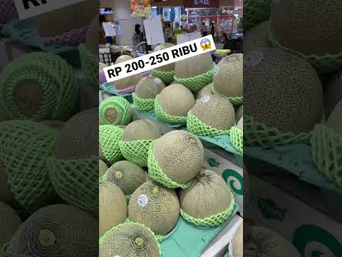 HARGA MELON DI JEPANG BERKISAR Rp 200-250 RIBU 😱😆 - YouTube