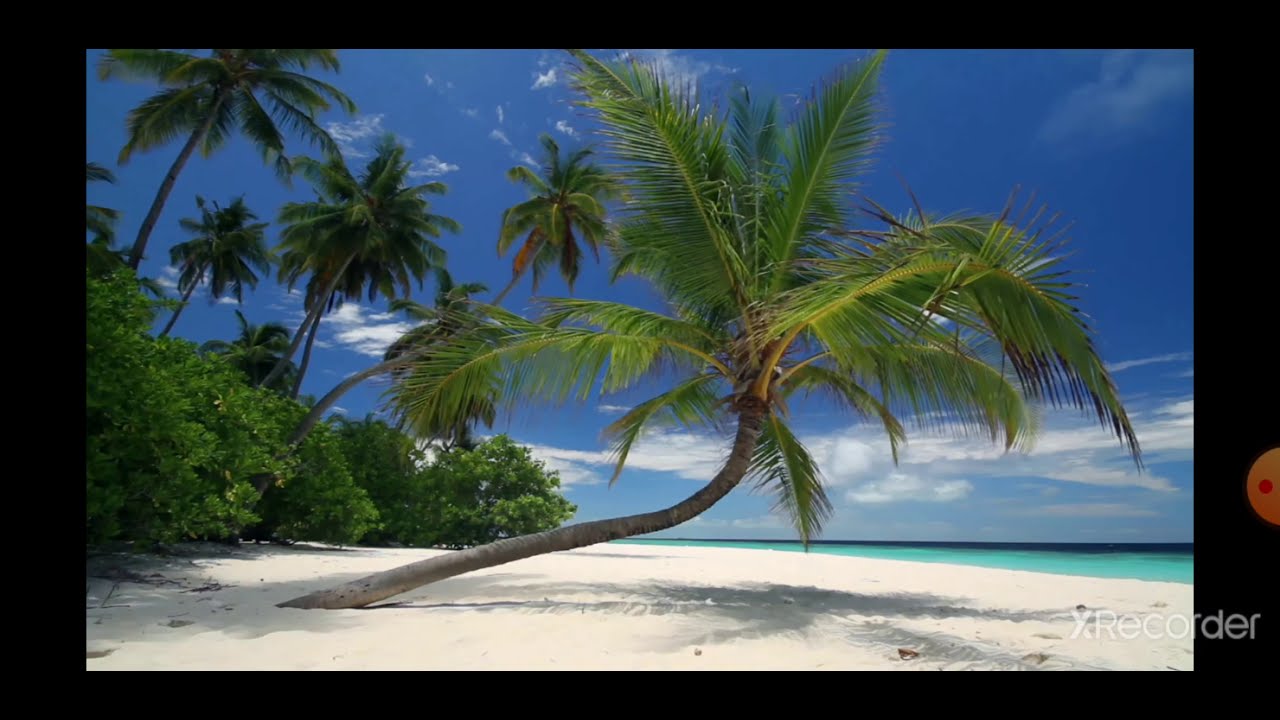 A relaxing soothing tropical utopia - YouTube
