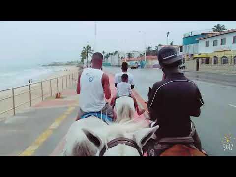 Voando baixinho ne pai 😘🐎🐎🐎 - YouTube