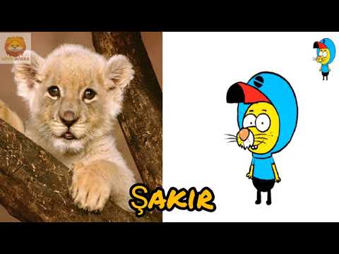 Kral Şakir izle-Kral Şakir karakterlerinin gerçek halleri-Cartoon Network izle