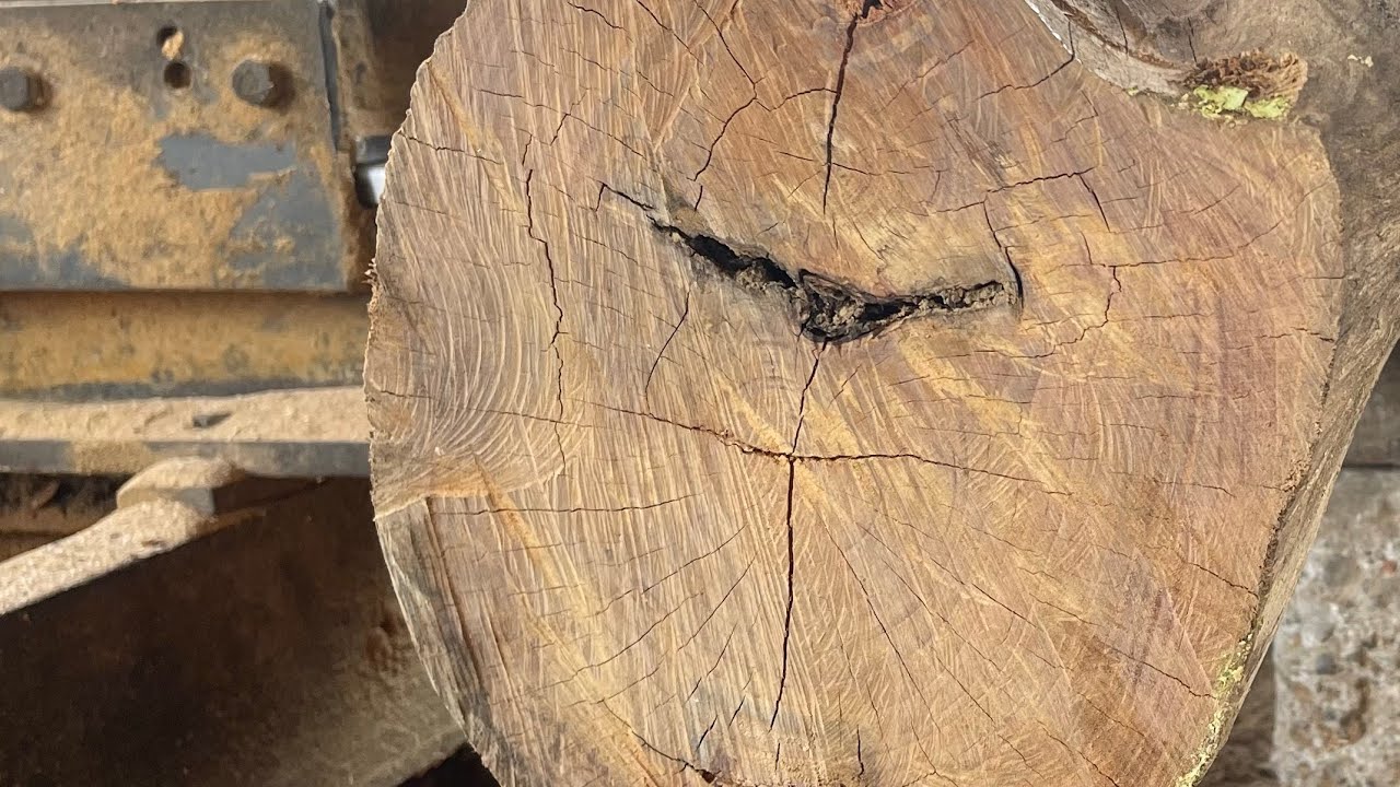 It’s amazing that teak wood this small,aged for hundreds of year in a ...