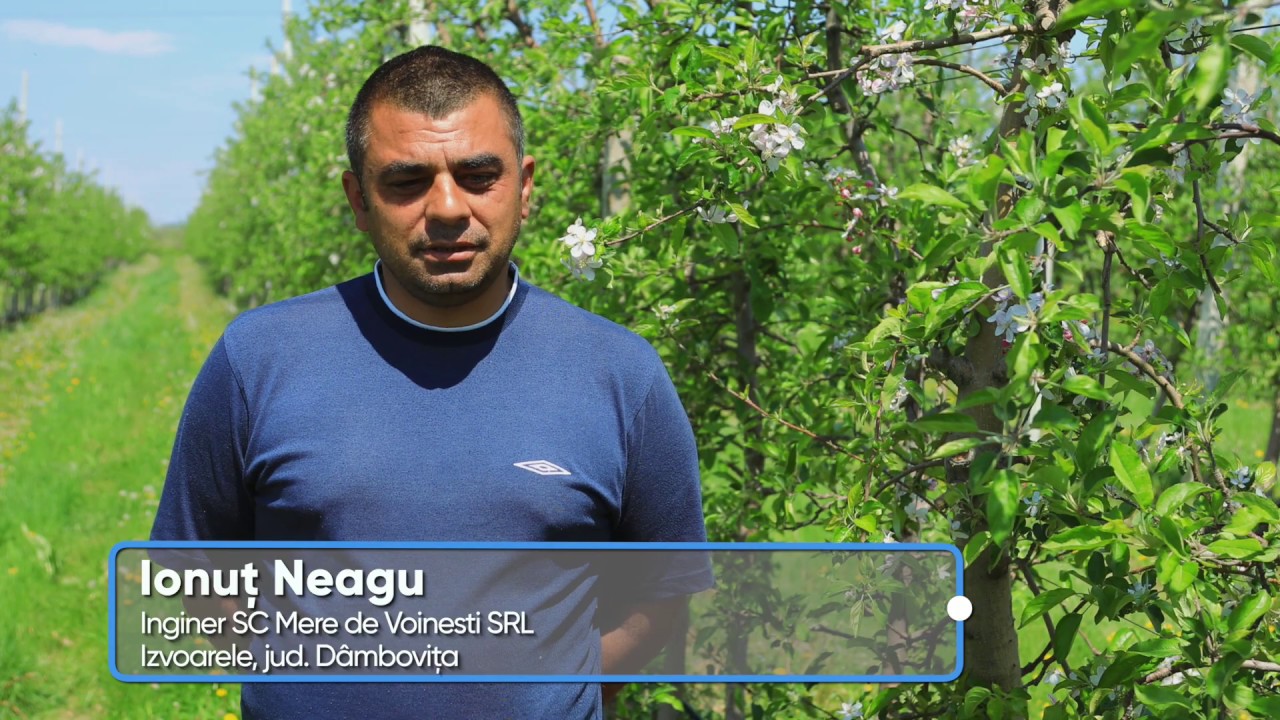 Testimonial Delegate™ - Neagu Ionut - YouTube